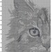 Rainbow Cat Cross Stitch Pattern 4 Instant PDF Download - Kitty ...