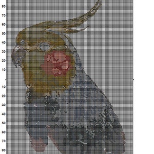 Cockatiel Parakeet Cross Stitch Pattern 1 Instant PDF Download ...