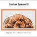 Cocker Spaniel Cross Stitch Pattern 2 Instant PDF Download Dog ...