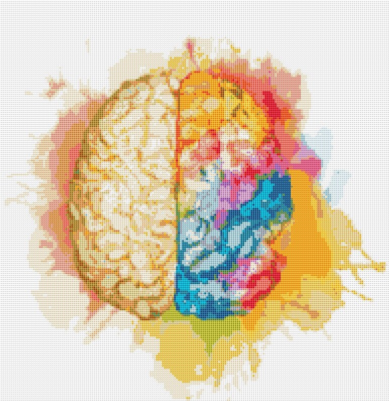 Brain Cross Stitch Pattern 1 Instant PDF Download Anatomy - Etsy