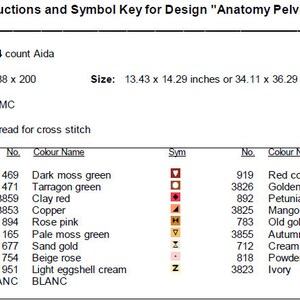 Anatomy Pelvis Cross Stitch Pattern 3 Instant PDF Download - Hips ...