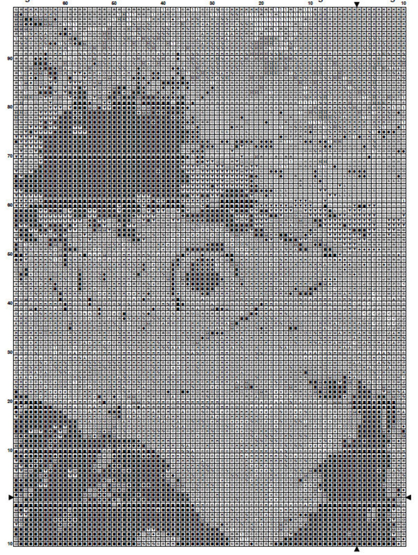 Blue Macaw Parrot Cross Stitch Pattern Instant PDF Download - Etsy