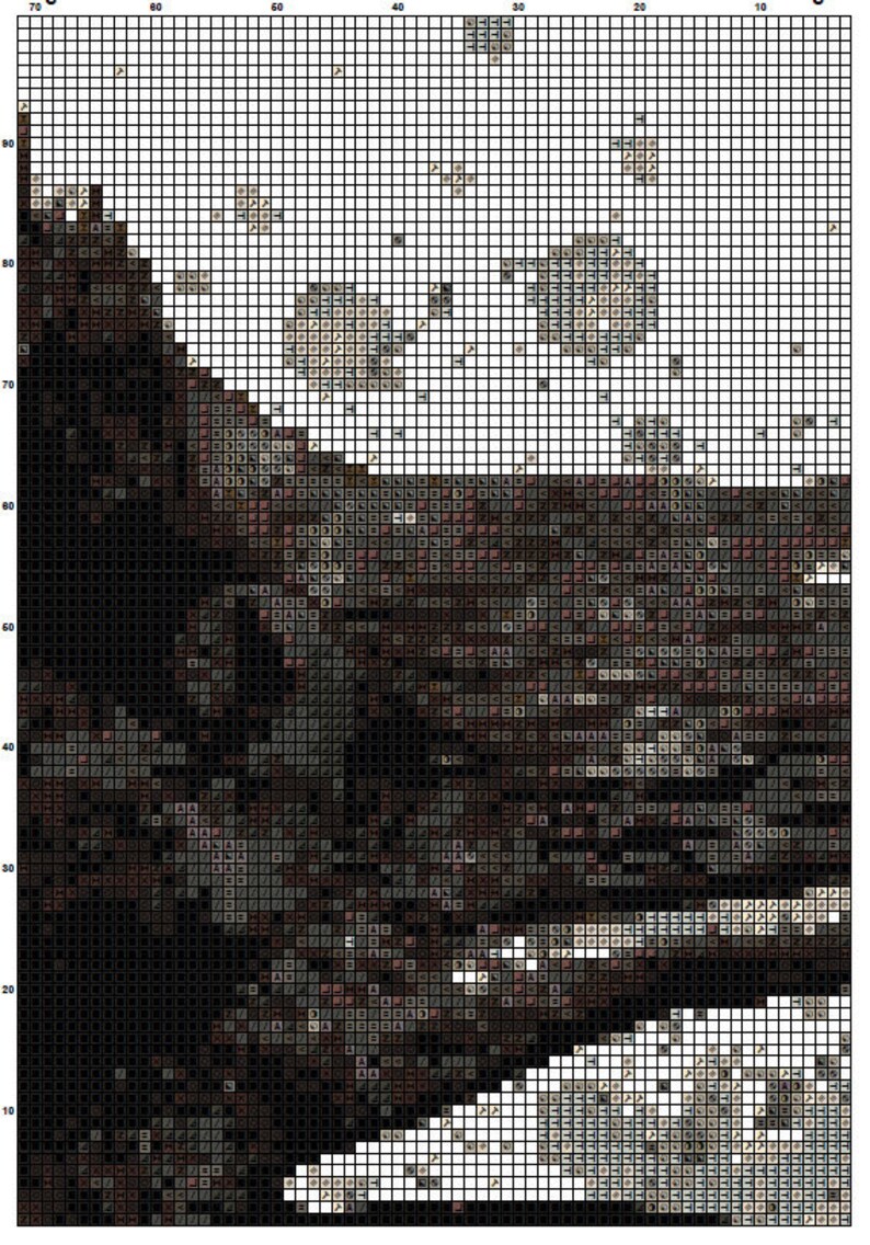 Raven Cross Stitch Pattern Instant PDF Download Raven - Etsy Australia