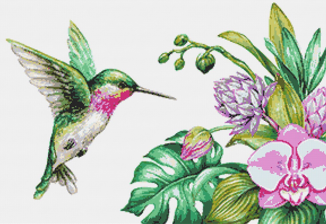 Hummingbird Cross Stitch Pattern 20 Instant PDF Download - Etsy