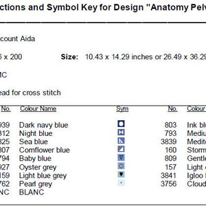 Anatomy Pelvis Cross Stitch Pattern 2 Instant PDF Download - Hip ...