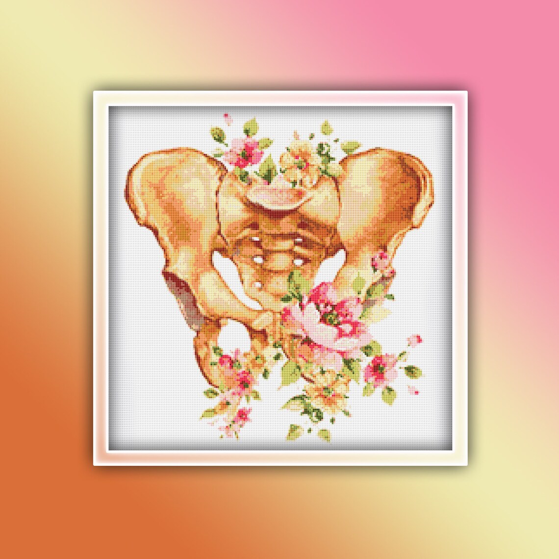 Anatomy Pelvis Cross Stitch Pattern 3 Instant PDF Download - Etsy