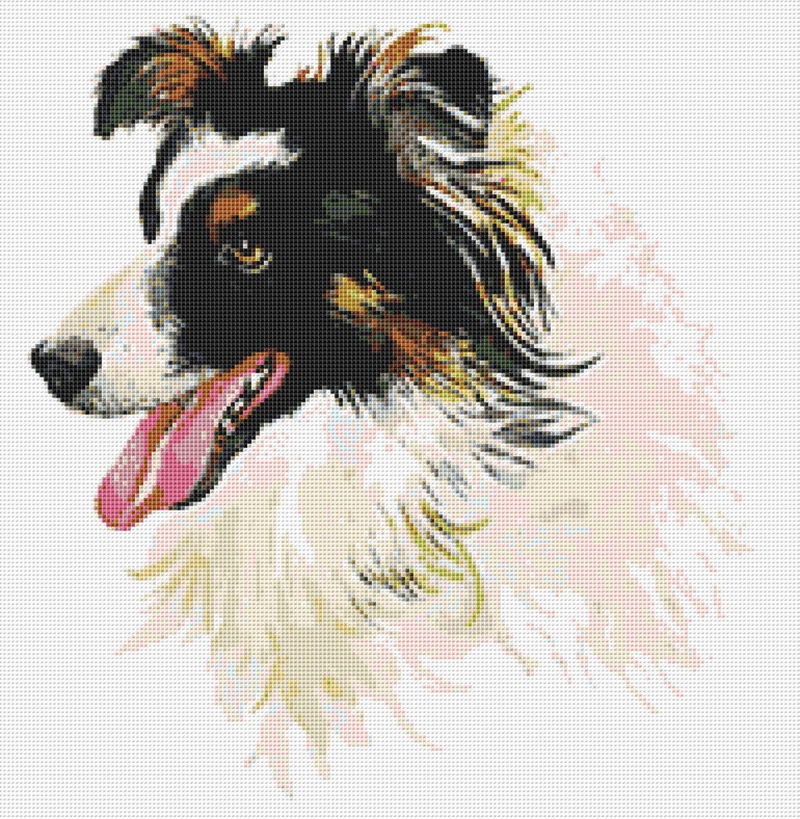 Border Collie Cross Stitch Pattern 1 Instant PDF Download | Etsy