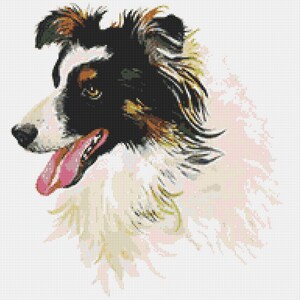 Border Collie Cross Stitch Pattern 1 Instant PDF Download | Etsy