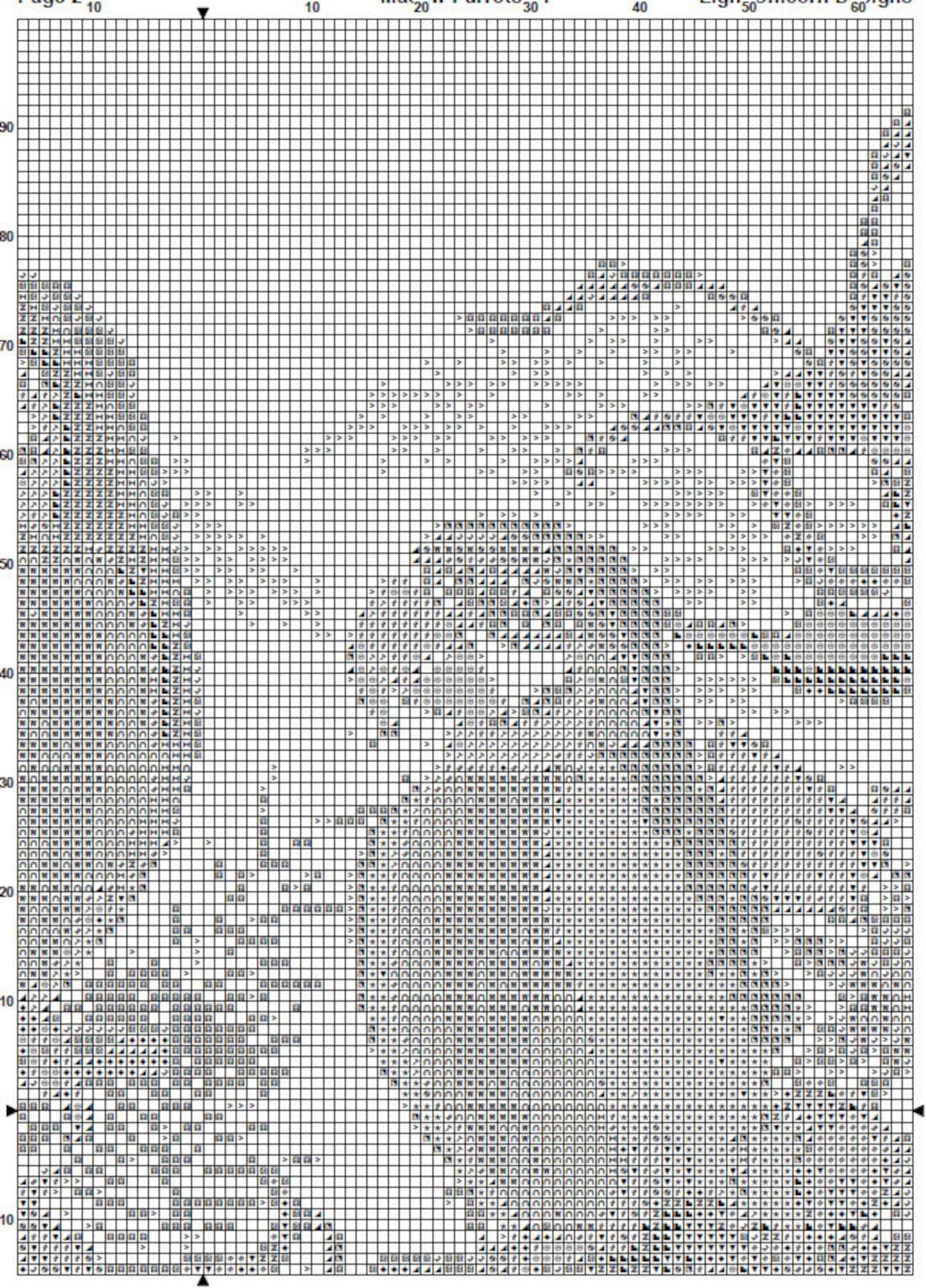 Macaw Cross Stitch Pattern 14 Instant PDF Download Ara | Etsy