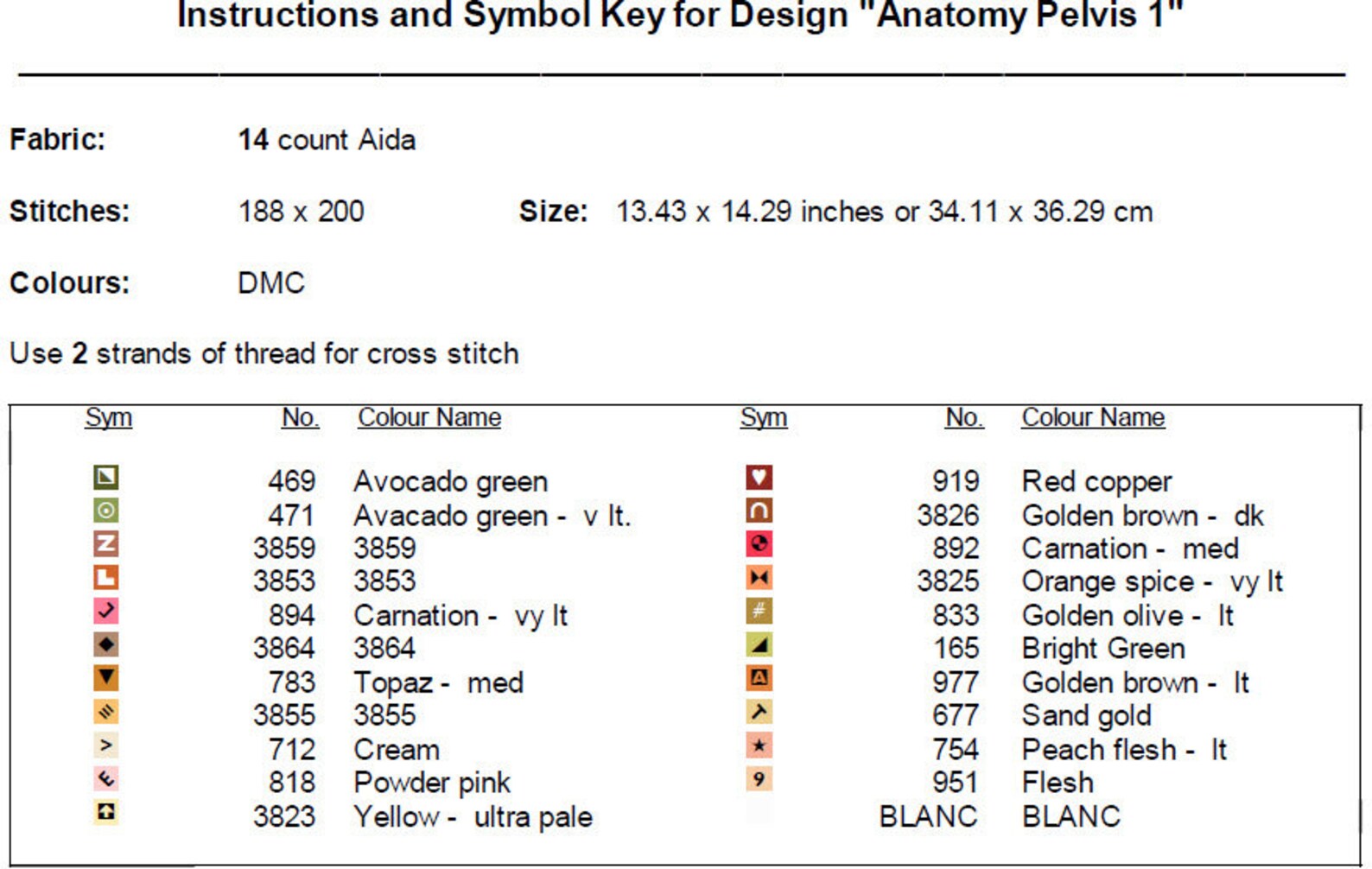 Anatomy Pelvis Cross Stitch Pattern 3 Instant PDF Download - Etsy