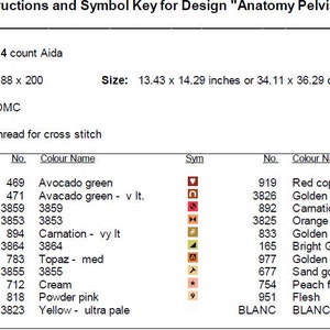 Anatomy Pelvis Cross Stitch Pattern 3 Instant PDF Download - Etsy
