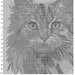 Rainbow Cat Cross Stitch Pattern 4 Instant PDF Download - Kitty ...