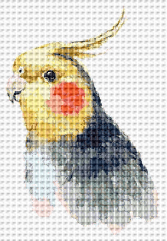 Cockatiel Parakeet Cross Stitch Pattern 1 Instant PDF Download | Etsy