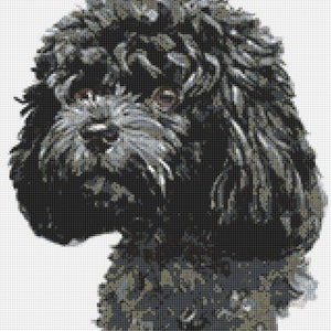 Black Poodle Cross Stitch Pattern Instant PDF Download Brown - Etsy