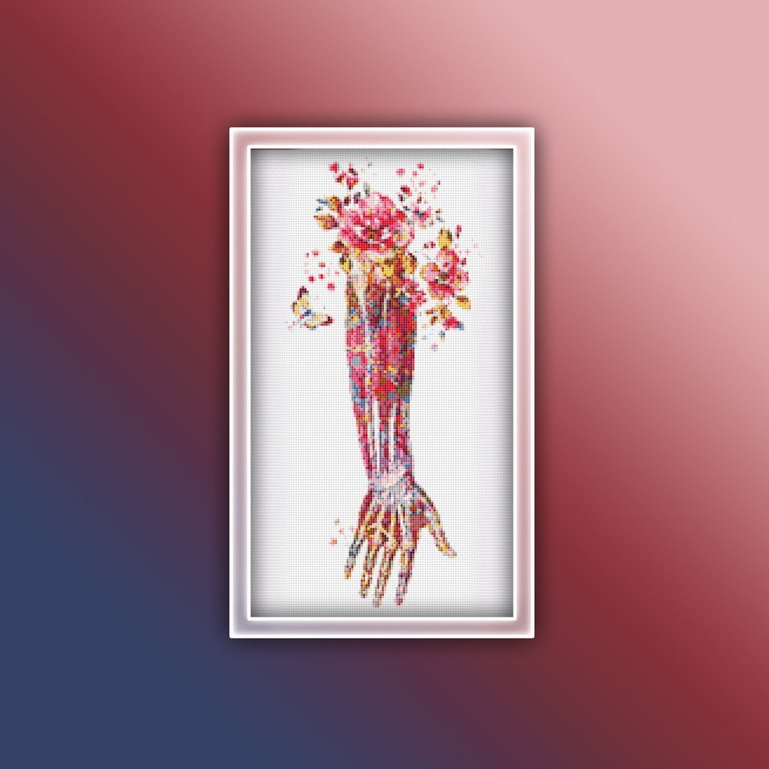 Anatomy Arm Cross Stitch Pattern Instant PDF Download Muscle Anatomy ...