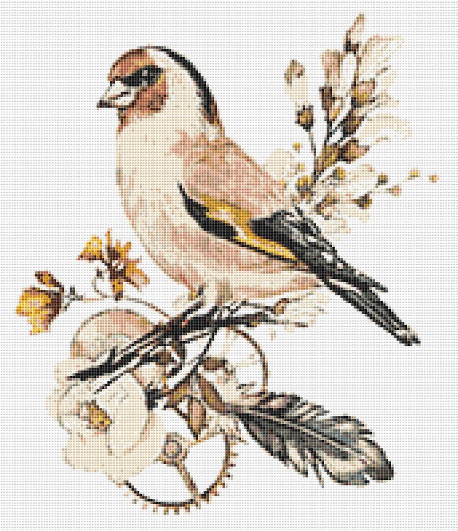 Bird Cross Stitch Pattern 2 Instant PDF Download Bird - Etsy
