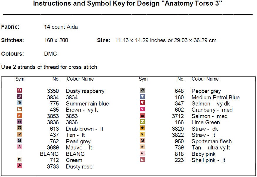 Anatomy Torso Cross Stitch Pattern 3 Instant PDF Download - Etsy