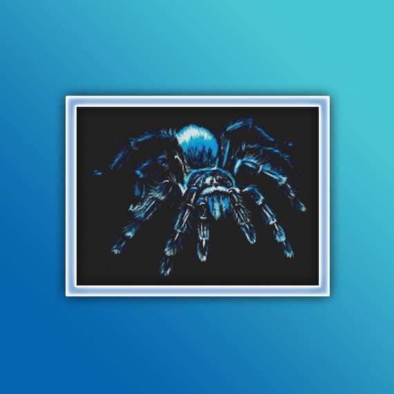 Tarantula Cross Stitch Pattern 1 Instant PDF Download Spider - Etsy