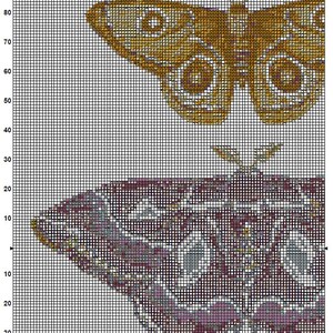 Moths Cross Stitch Pattern 3 Instant PDF Download - Butterfly ...