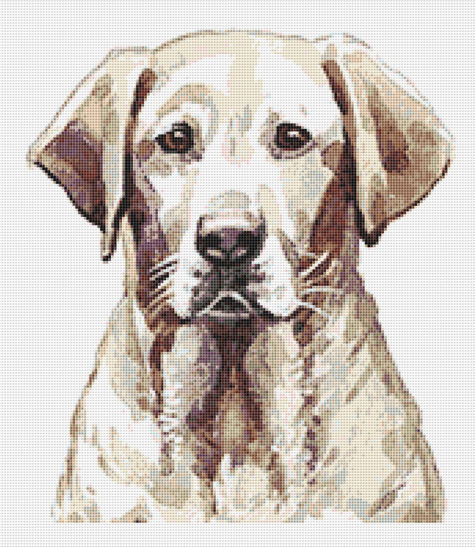 Labrador Cross Stitch Pattern 1 Instant PDF Download - Etsy Ireland