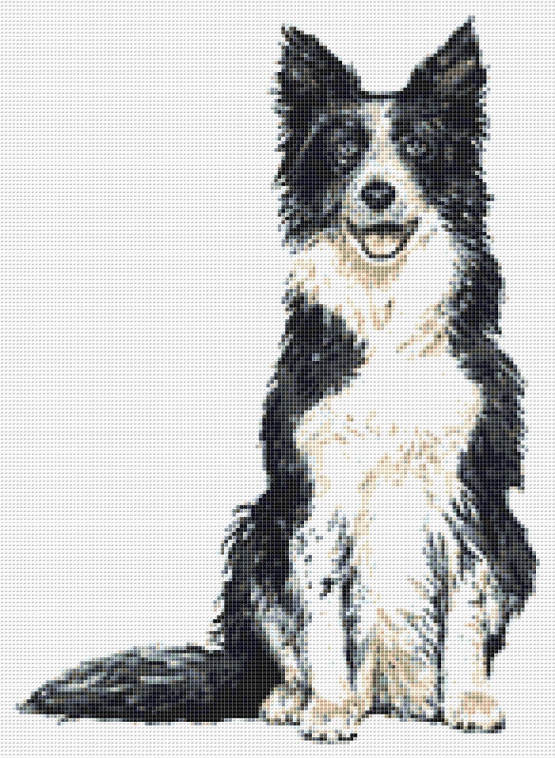 Border Collie Cross Stitch Pattern 9 Instant PDF Download | Etsy
