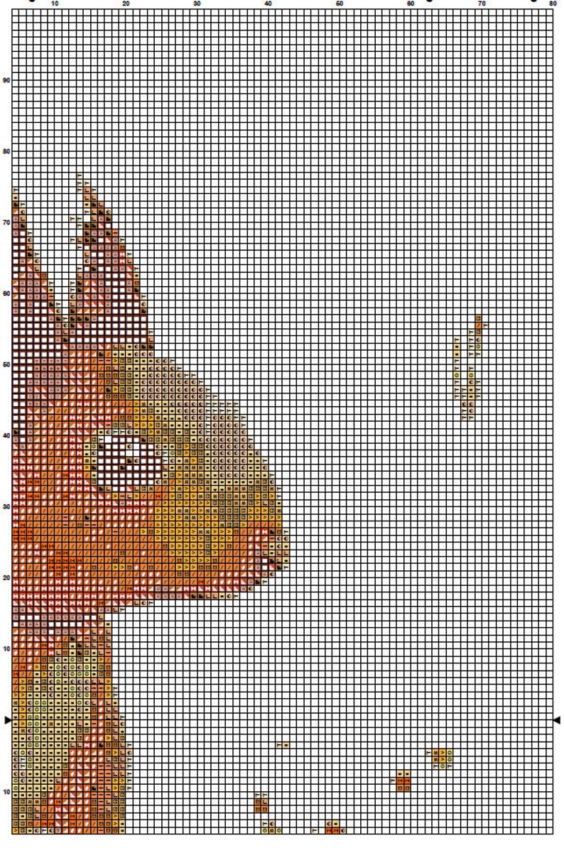 Squirrel Cross Stitch Pattern 1 Instant PDF Download - Etsy