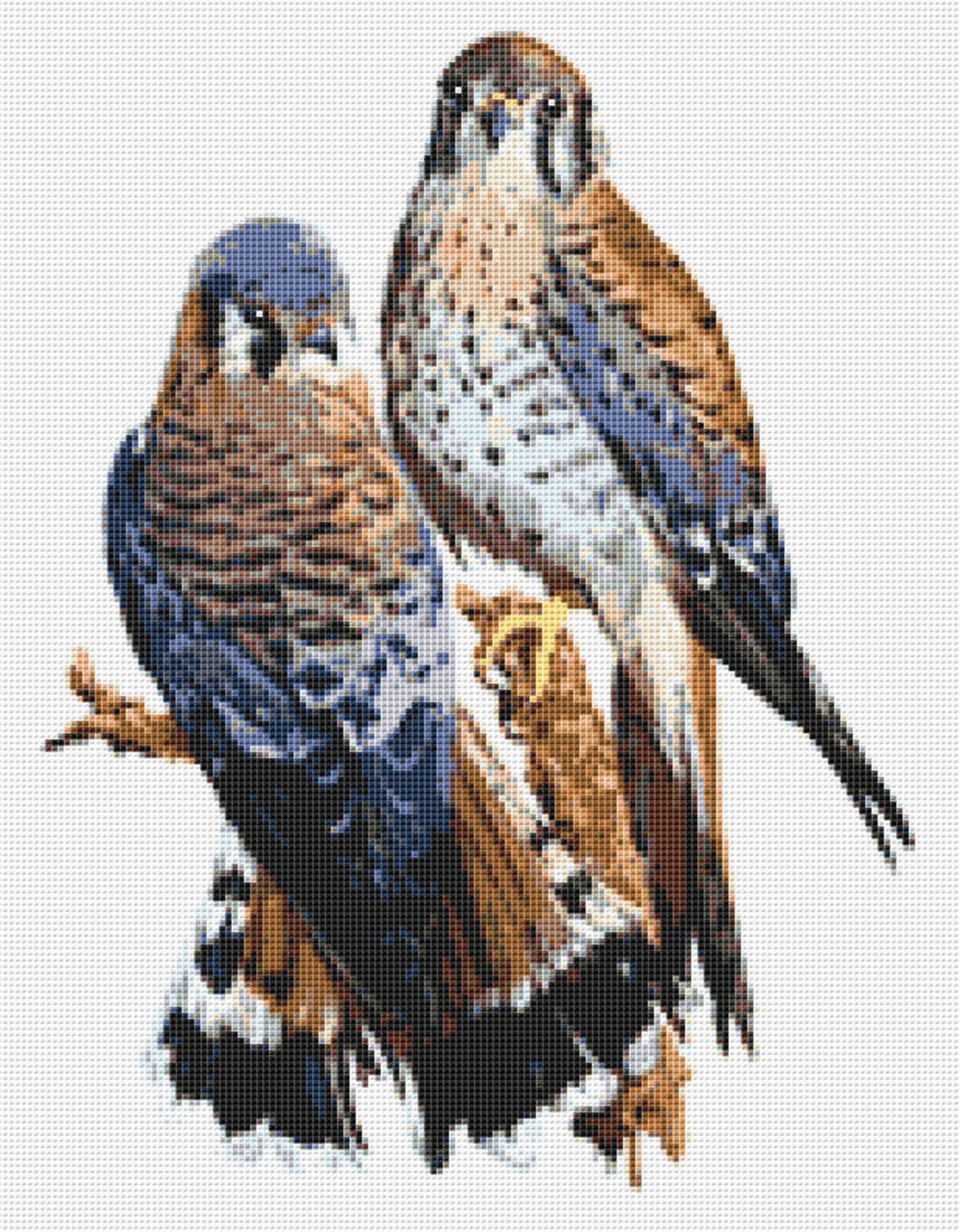 Falcons Cross Stitch Pattern 1 Instant Download Instant PDF | Etsy