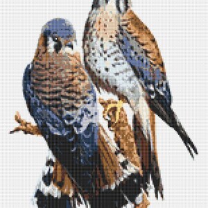 Falcons Cross Stitch Pattern 1 Instant Download Instant PDF | Etsy