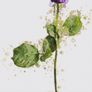 Single Purple Rose Cross Stitch Pattern 1 Instant PDF Download - Etsy