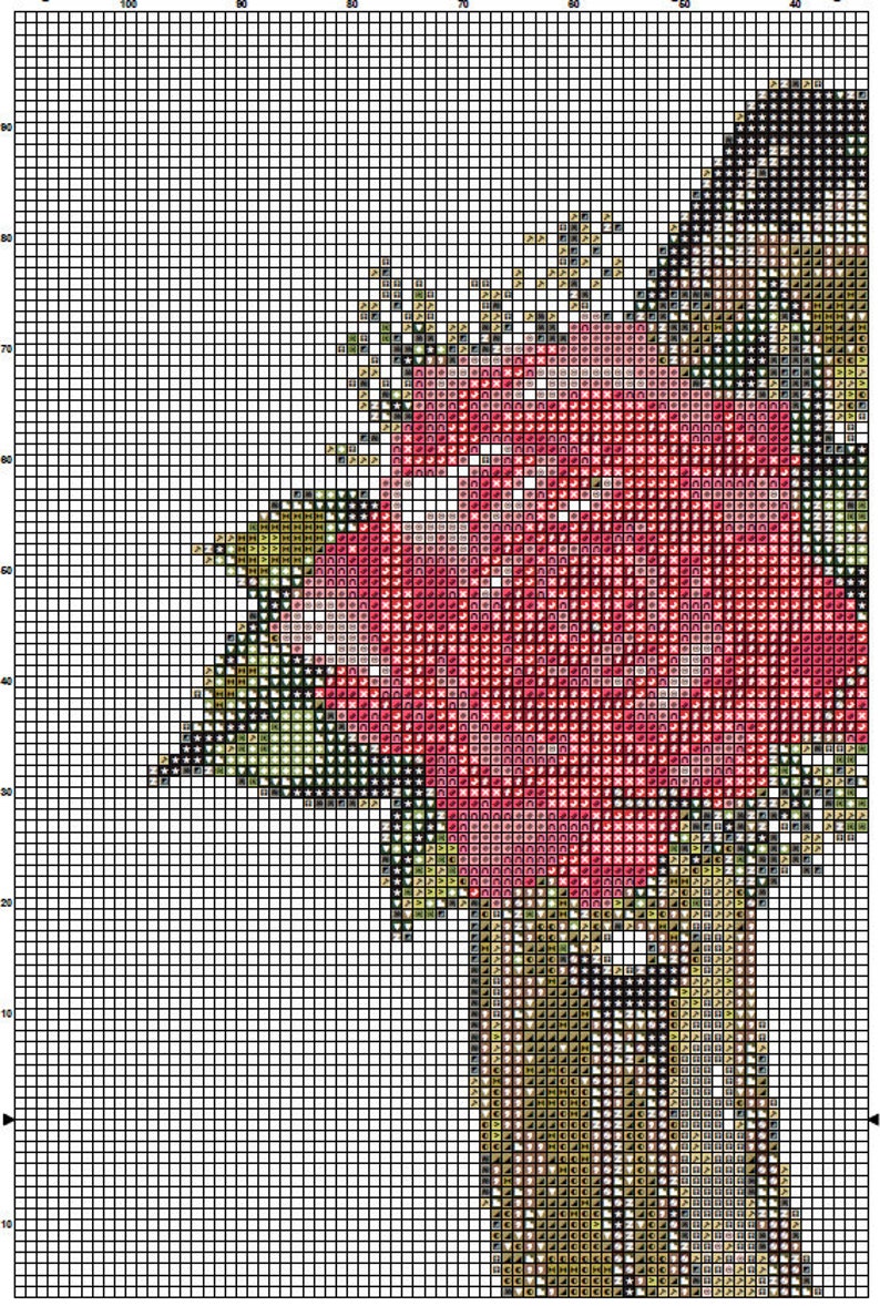 Horse Shoe Cross Stitch Pattern Instant PDF Download - Etsy