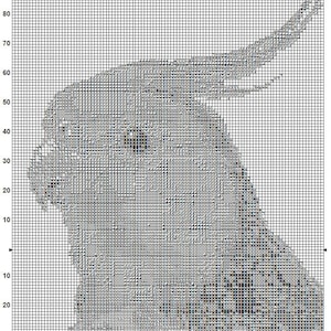 Cockatiel Parakeet Cross Stitch Pattern 1 Instant PDF Download ...