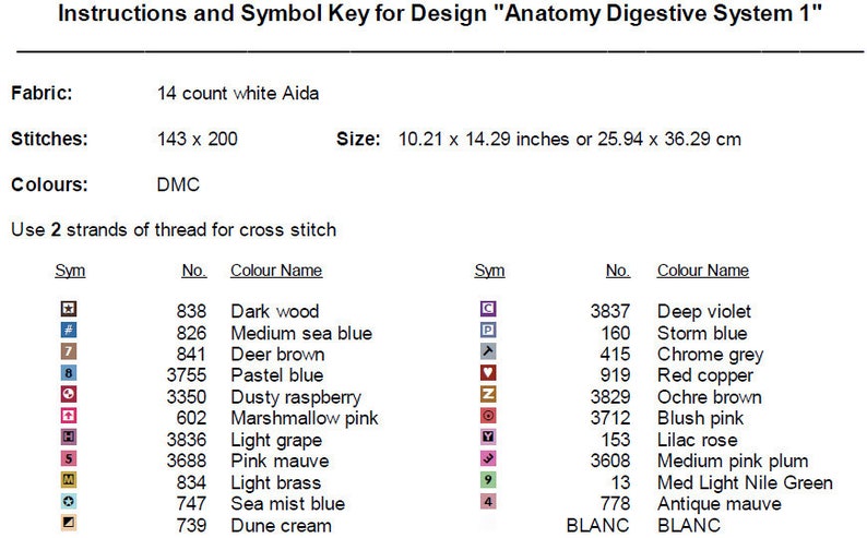 Anatomy Digestive System Cross Stitch Pattern 2 Instant PDF | Etsy