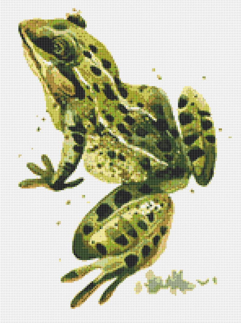 Frog Cross Stitch Pattern 3 Instant PDF Download Frog - Etsy