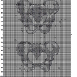 Anatomy Pelvis Cross Stitch Pattern 2 Instant PDF Download - Hip ...