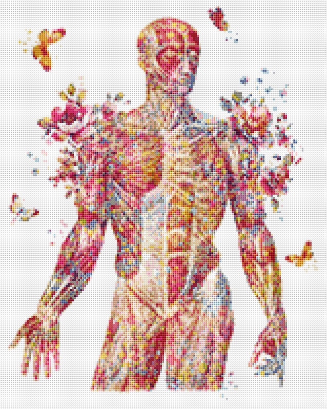 Anatomy Torso Cross Stitch Pattern 3 Instant PDF Download - Etsy