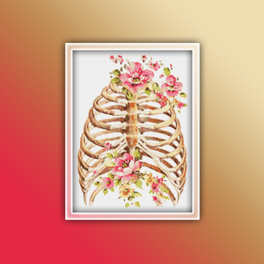 Anatomy Ribcage Cross Stitch Pattern 1 Instant PDF Download | Rib Cage ...