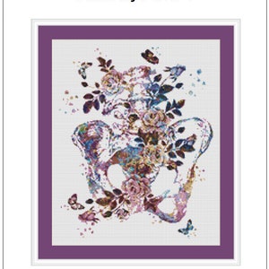 Anatomy Pelvis Cross Stitch Pattern 1 Instant PDF Download - Hips ...