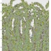 Willow Tree Cross Stitch Pattern Instant PDF Download Summer - Etsy