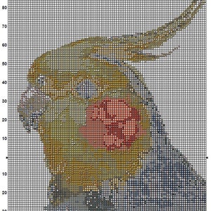Cockatiel Parakeet Cross Stitch Pattern 1 Instant PDF Download ...