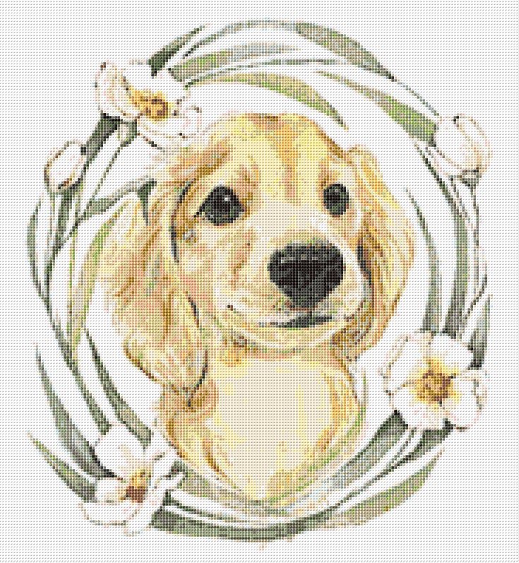 Labrador Puppy Cross Stitch Pattern 1 Instant PDF Download - Etsy