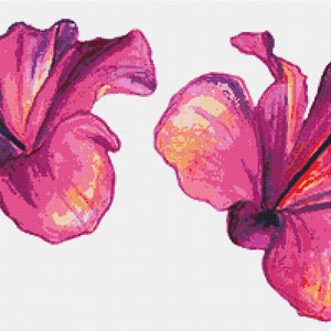 Hibiscus Flower Cross Stitch Pattern Instant PDF Download - Etsy