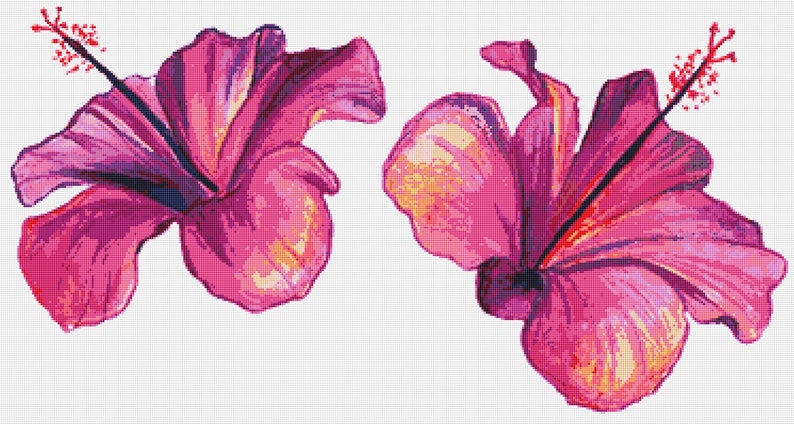 Hibiscus Flower Cross Stitch Pattern Instant PDF Download - Etsy