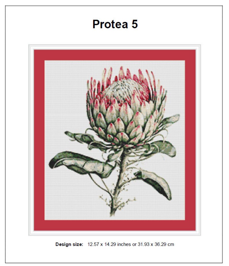 Protea Cross Stitch Pattern 5 Instant PDF Download Protea - Etsy