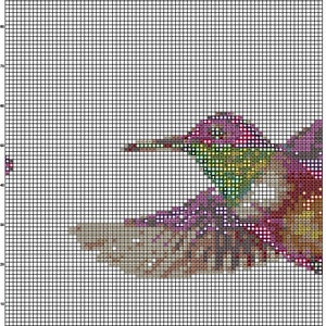 Hummingbird Cross Stitch Pattern 4 Instant PDF Download - Etsy