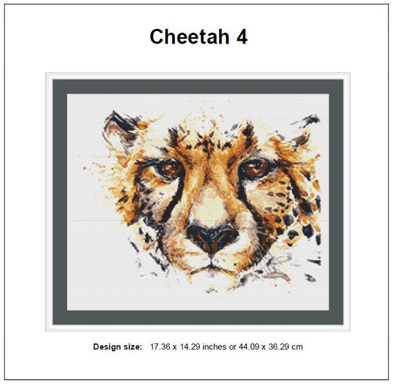 Lion And Cheetah Mix Breed