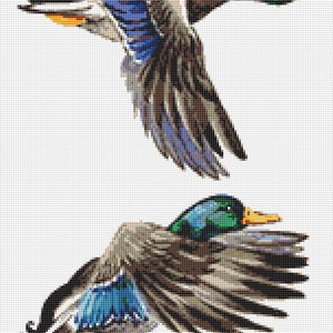 Duck Mallard Cross Stitch Pattern 2 Duck Watercolor Cross | Etsy