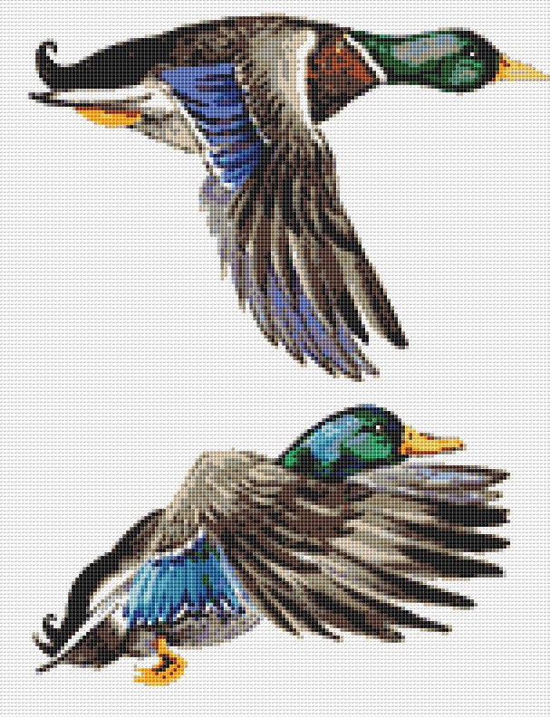 Duck Mallard Cross Stitch Pattern 2 Duck Watercolor Cross - Etsy