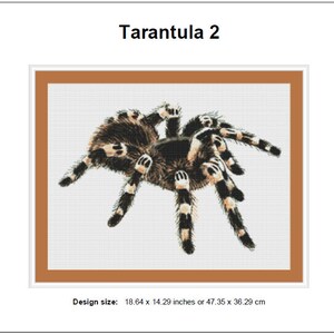 Tarantula Cross Stitch Pattern 2 Instant PDF Download - Spider ...