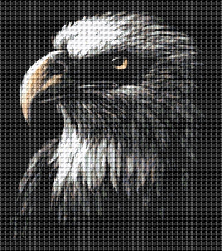 Bald Eagle Cross Stitch Pattern Instant Download Instant PDF | Etsy