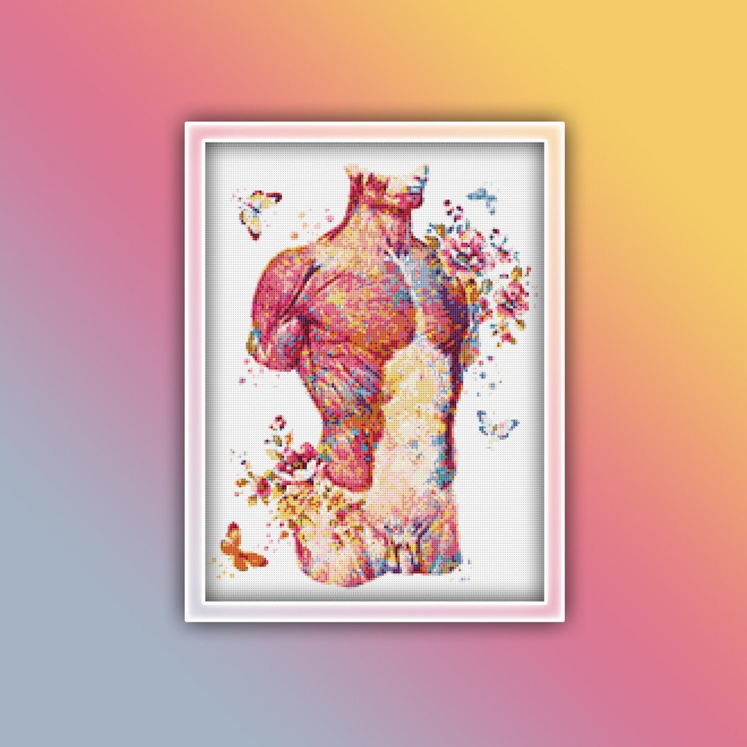 Anatomy Torso Cross Stitch Pattern 2 Instant PDF Download | Muscle ...